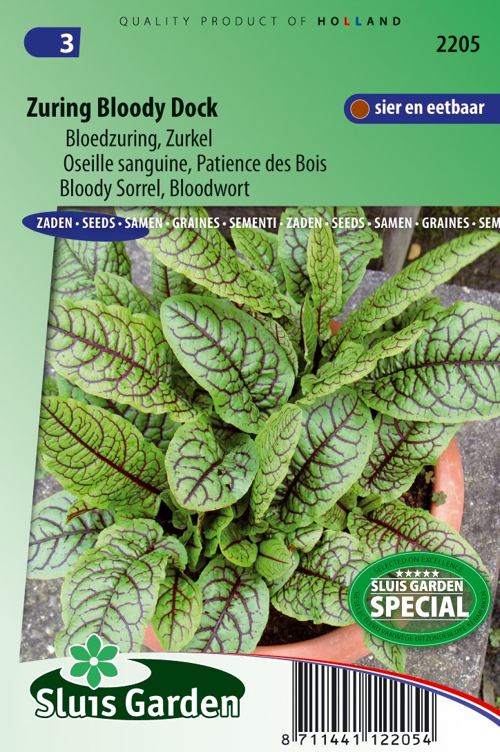 Zuring Bloody dock (bloedzuring) Gartencenter Koeman