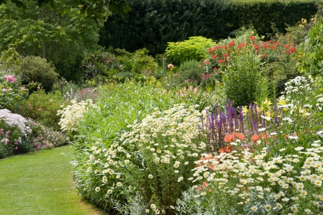 Romantic White Rabatte kaufen? Einfach online bestellen – Gartencenter ...