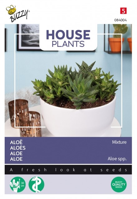 Aloë Gemengde Soorten - Buzzy House Plants Gartencenter Koeman