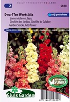 Sommerstiefmuetterchen Dwarf Ten Weeks Mix kaufen? Einfach online ...