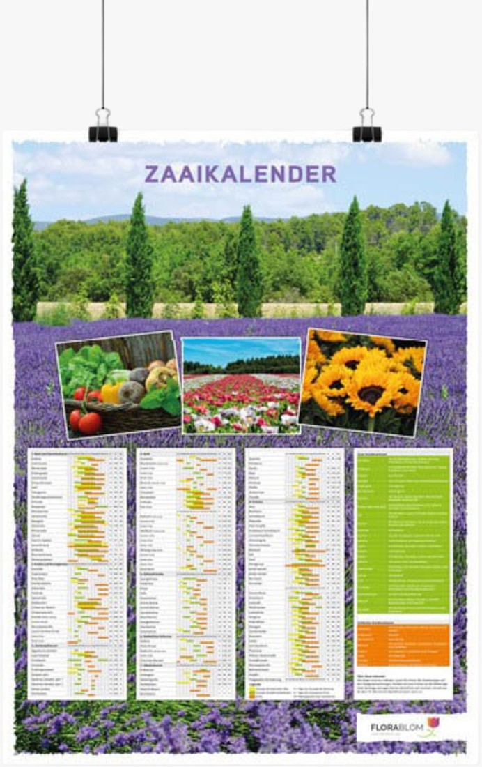 Zaaikalender Poster Nederlands - Opgerold Gartencenter Koeman